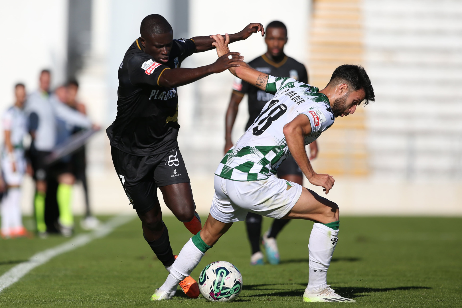 Sporting Clube Farense - Site Oficial